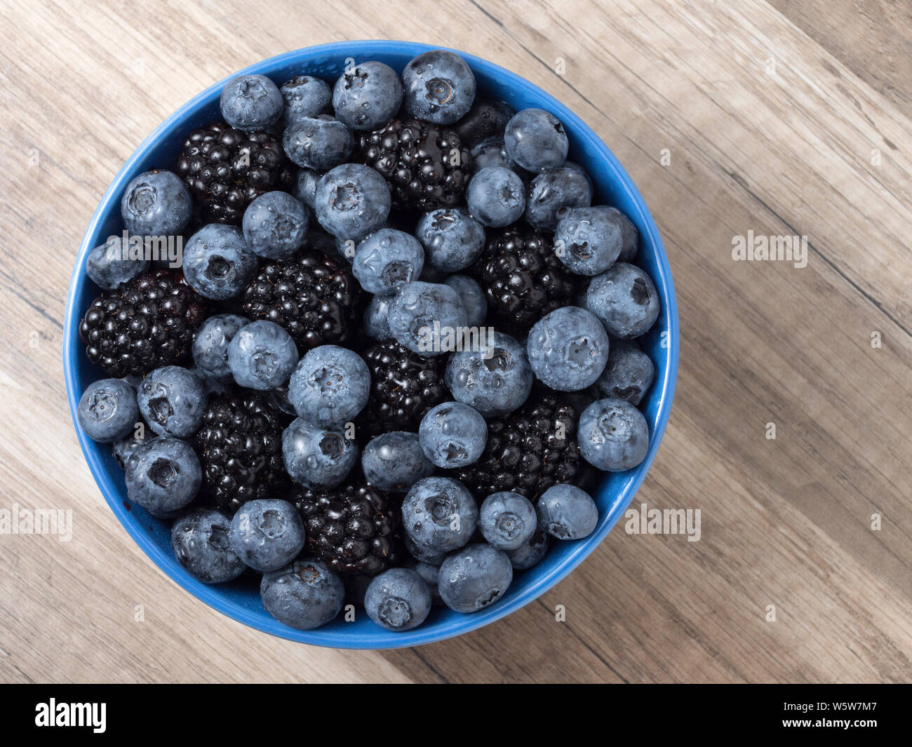 Forest berries (blueberry,bramble) in a ceramic blue bowl. Top view ...