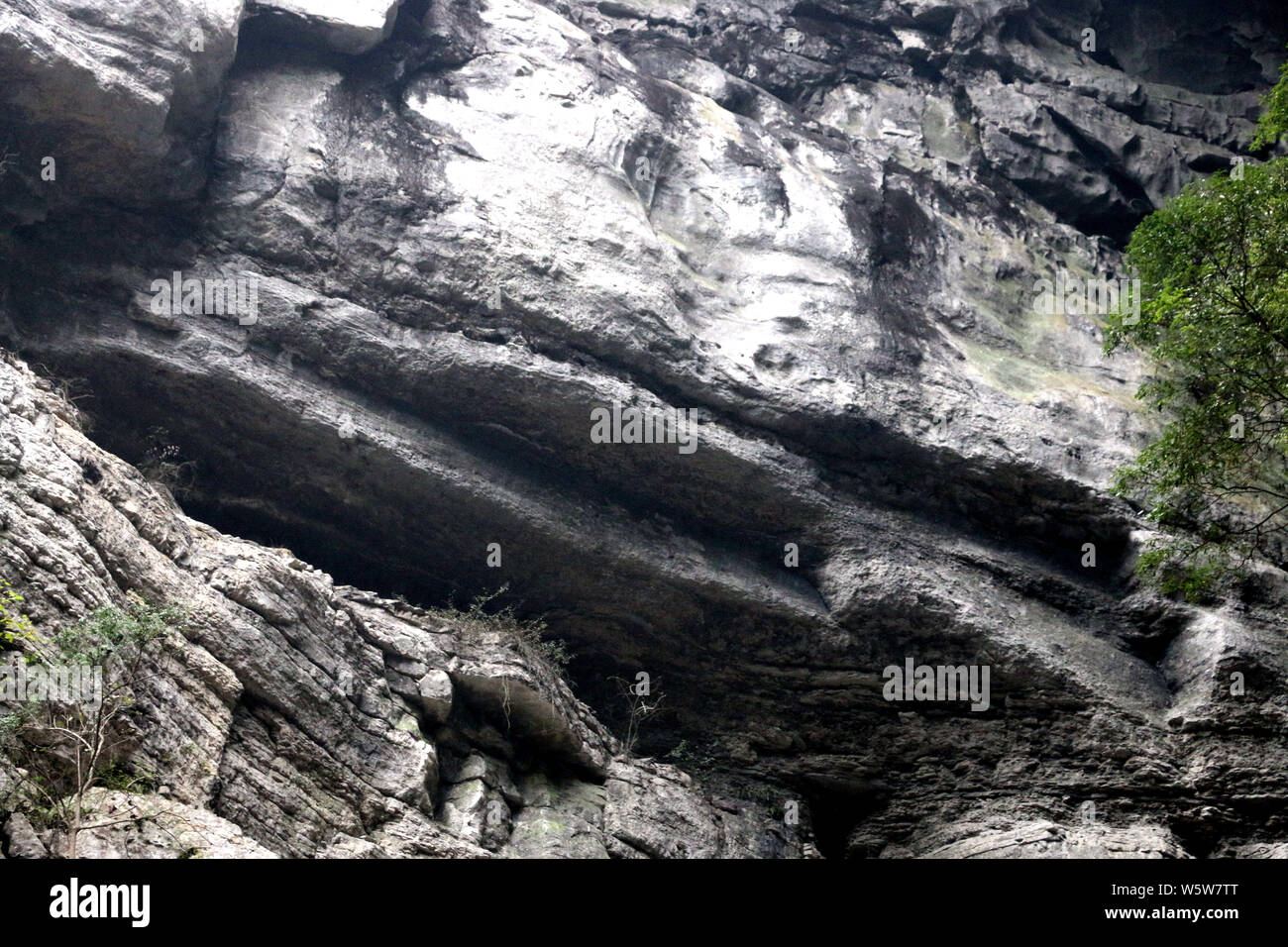 Gorilla rock hi-res stock photography and images - Alamy