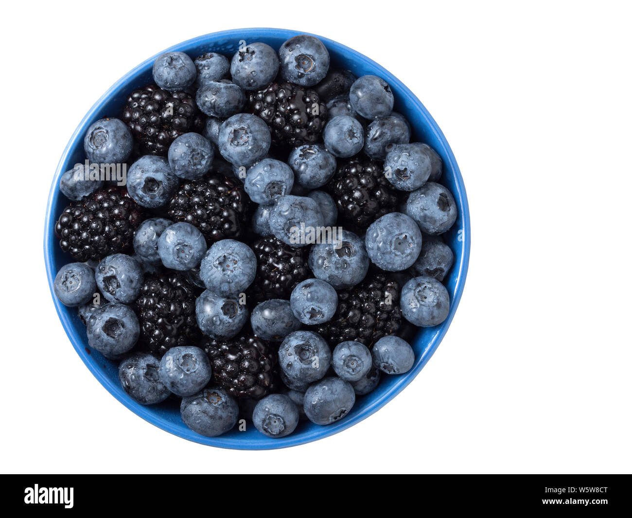 Forest berries (blueberry,bramble) in a ceramic blue bowl. Top view ...