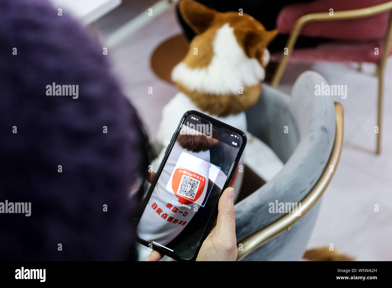 A customer scans a QR code on a corgi via the mobile app of Alibaba's ...