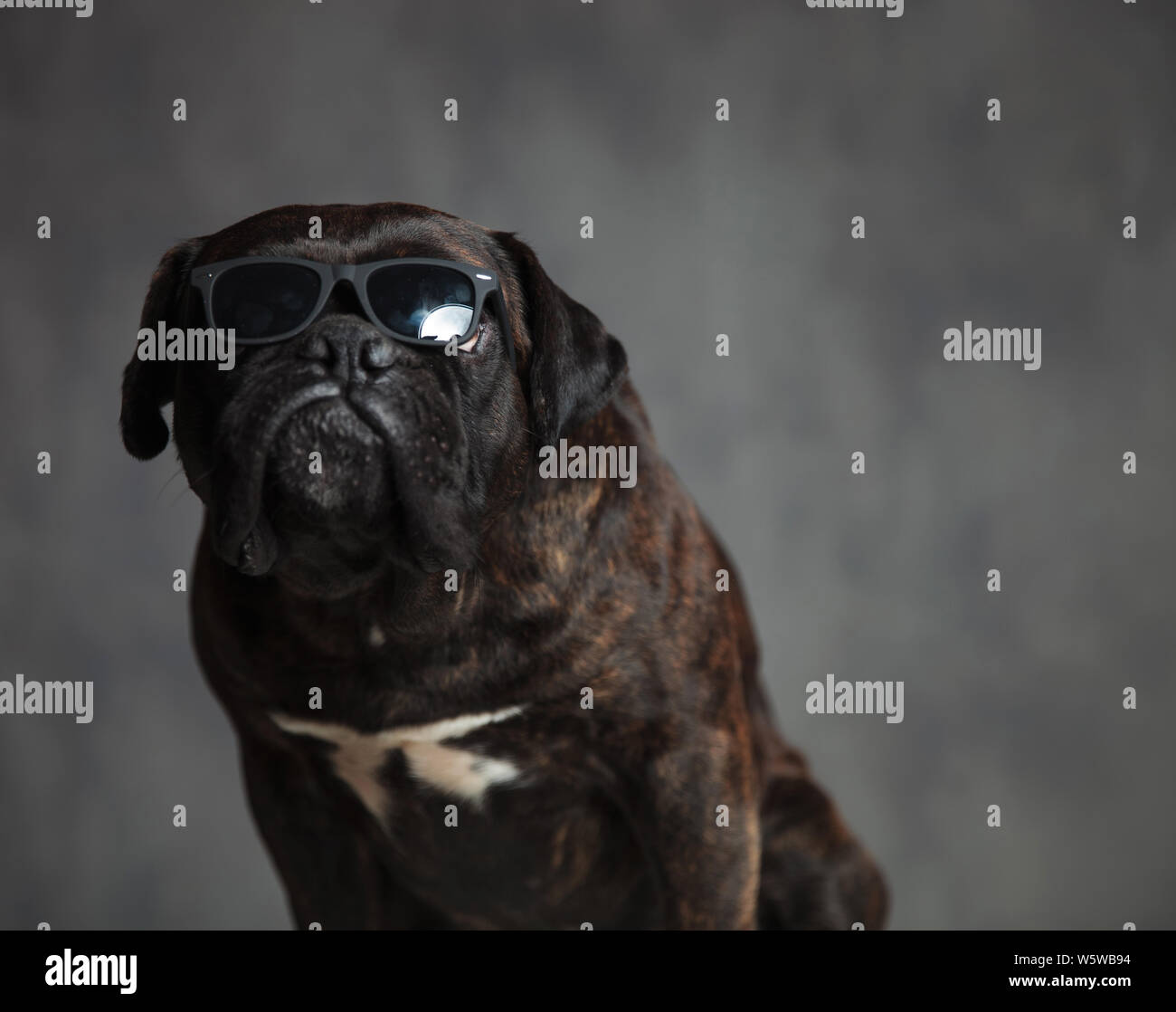 Look gangster hi-res stock photography and images - Alamy