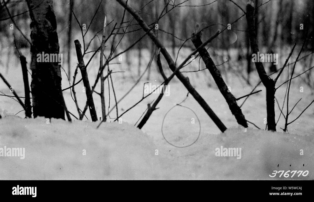 Photograph of Rabbit Snare; Scope and content: Original caption: Type ...