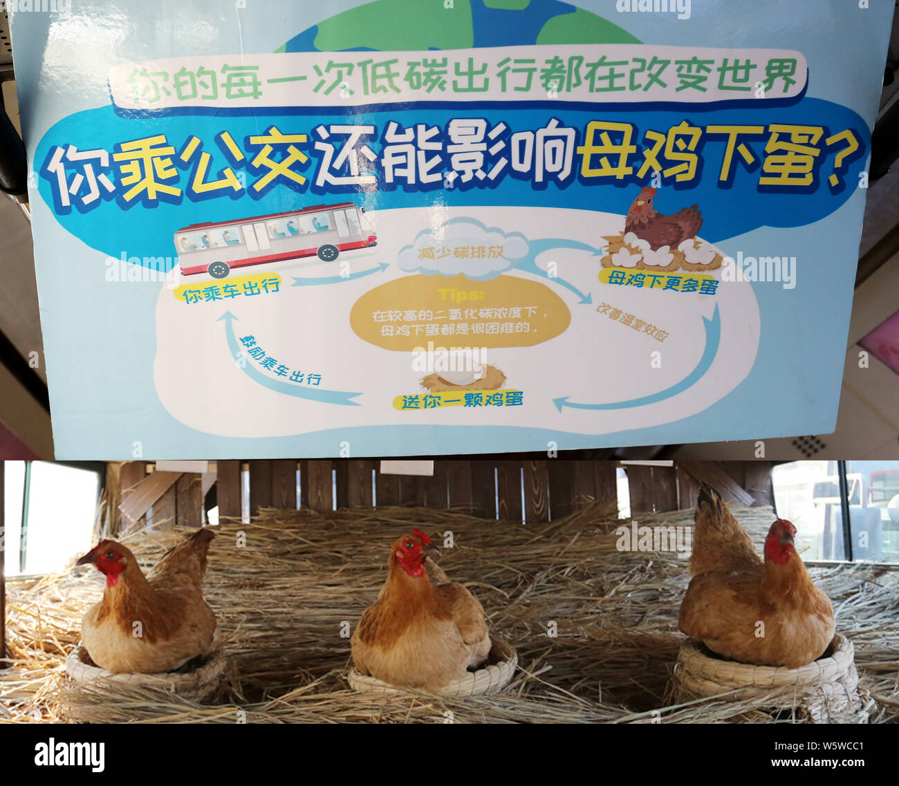 Passengers take a bus equipped with the large chicken coop, complete ...