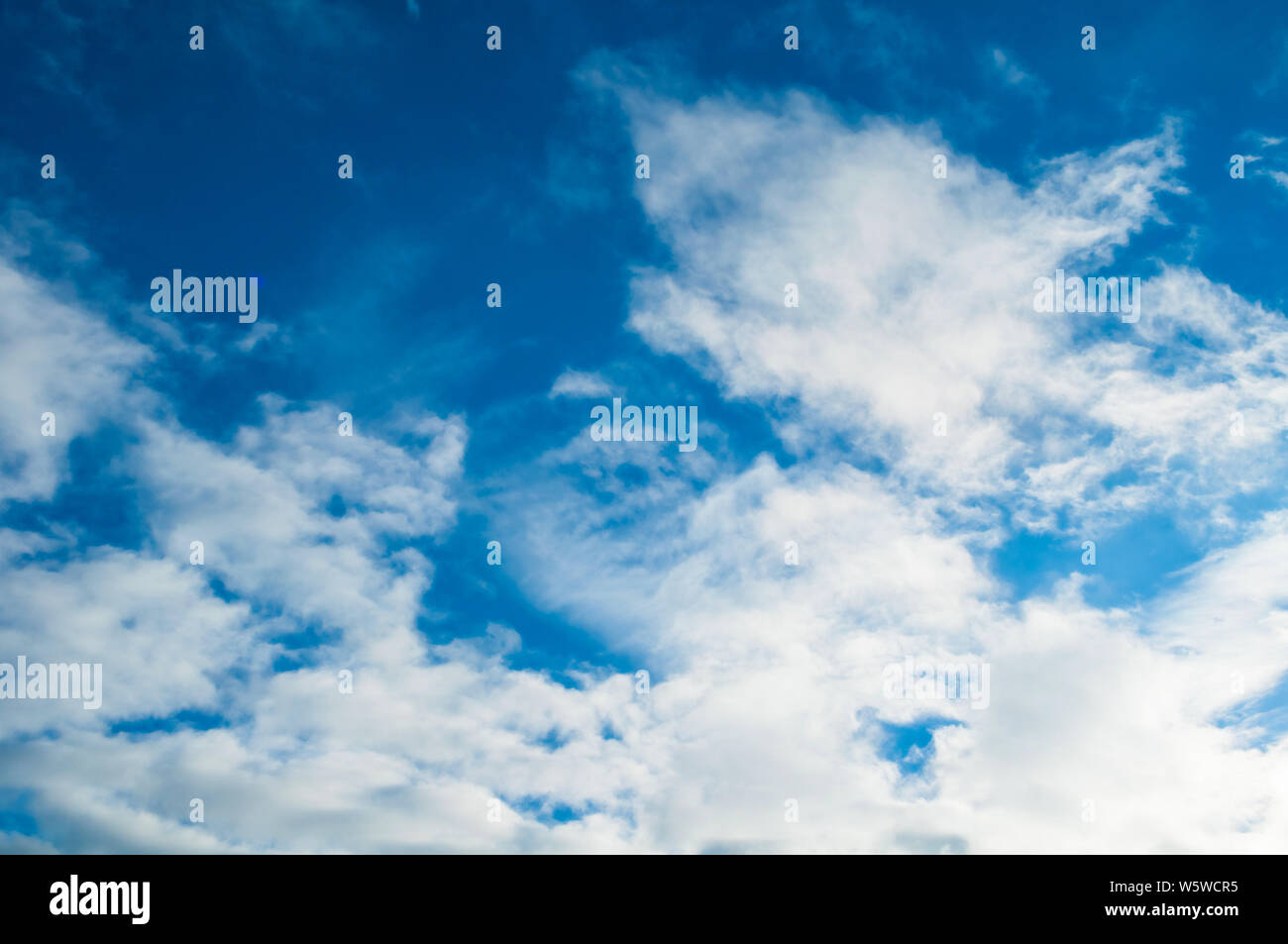 Blue dramatic sky background - white dramatic colorful clouds lit by ...
