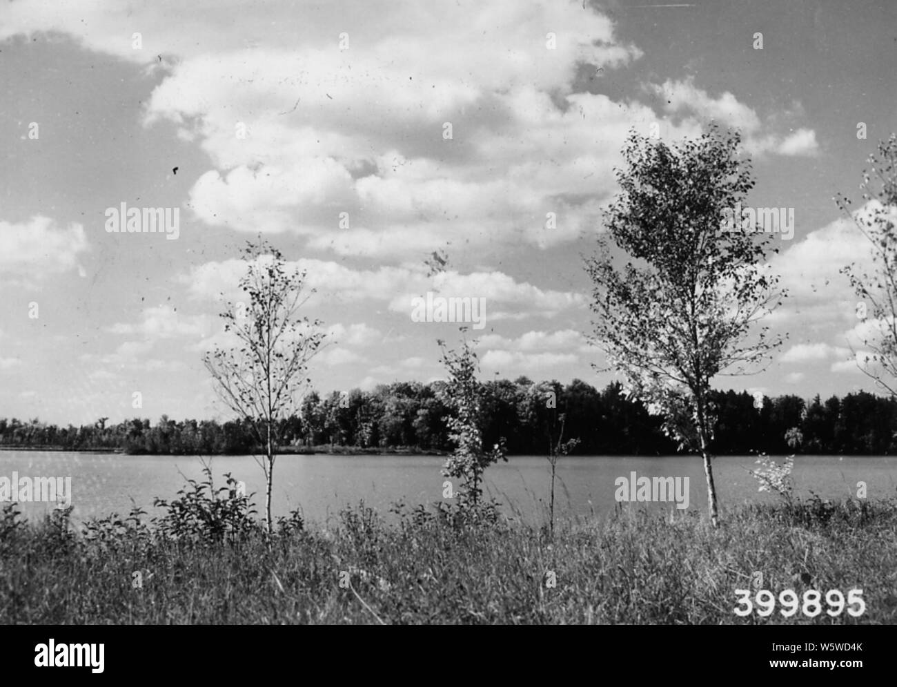 Photograph of Scene on Pike Lake; Scope and content: Original caption ...