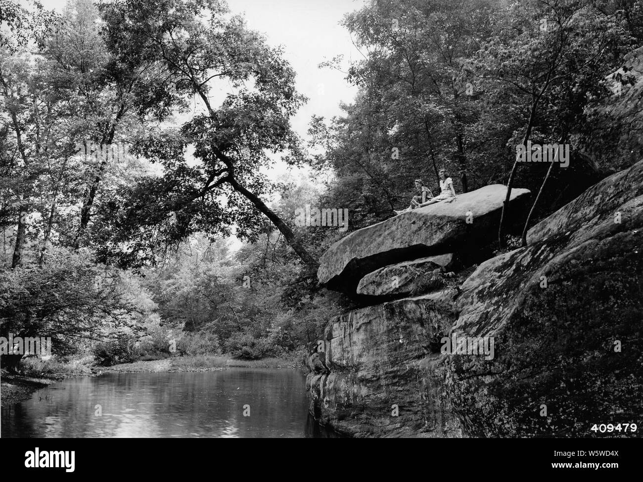 Photograph of Scene at Bell Smith Springs Recreation Area; Scope and ...