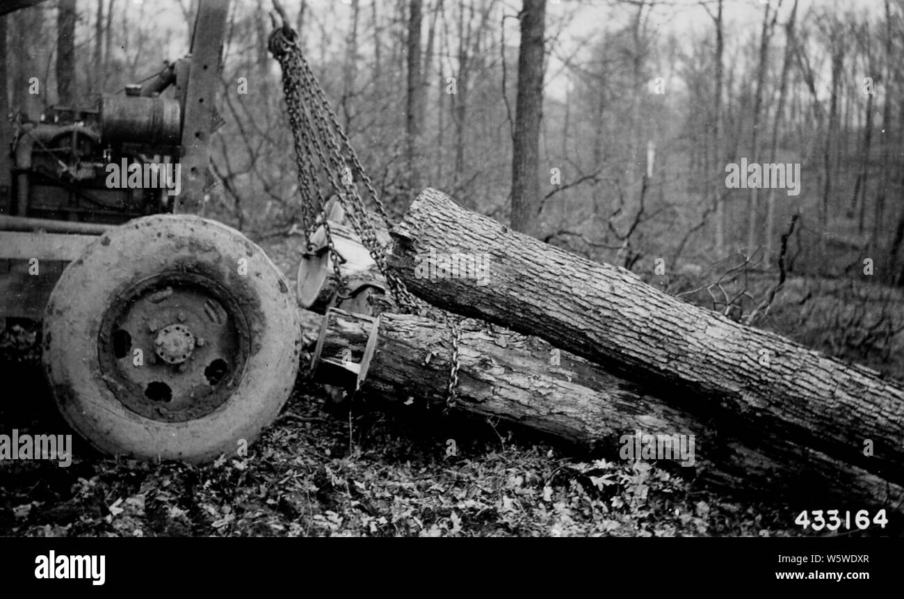 Photograph of Skidding Logs with Colglazier Dolly; Scope and content ...