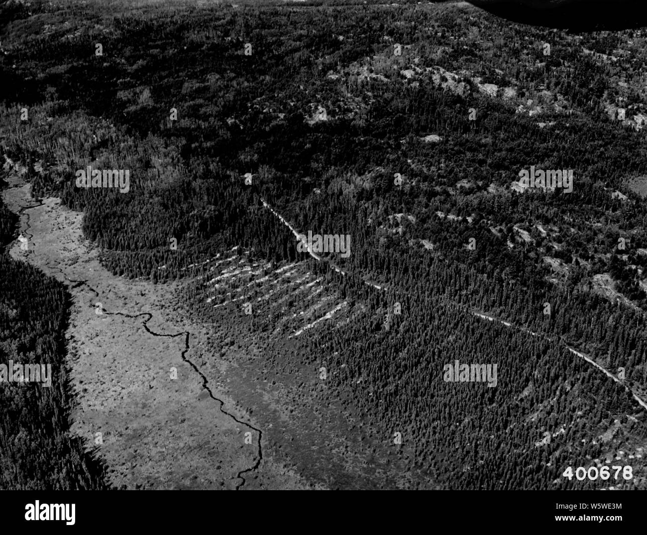 Photograph of Spruce Pulpwood Timber Cuttings; Scope and content ...