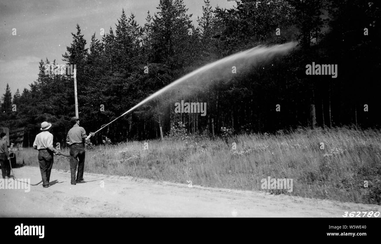 Photograph of Spraying Trees; Scope and content: Original caption ...
