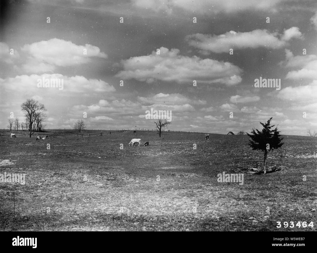 Forgate hi-res stock photography and images - Alamy