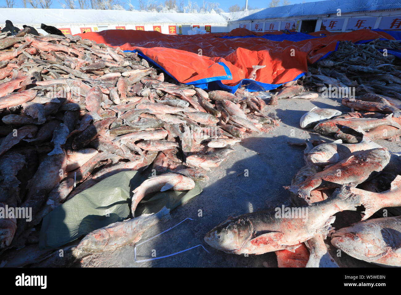 Ice and snow fishing and hunting cultural tourism festival hi-res stock ...