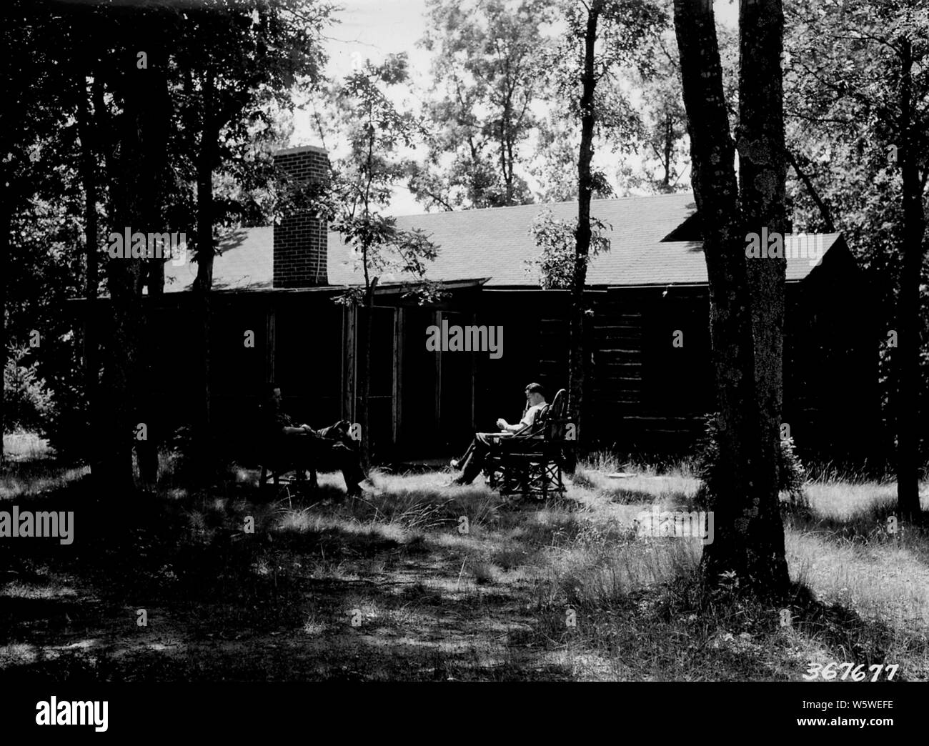 Within forest Black and White Stock Photos & Images - Alamy