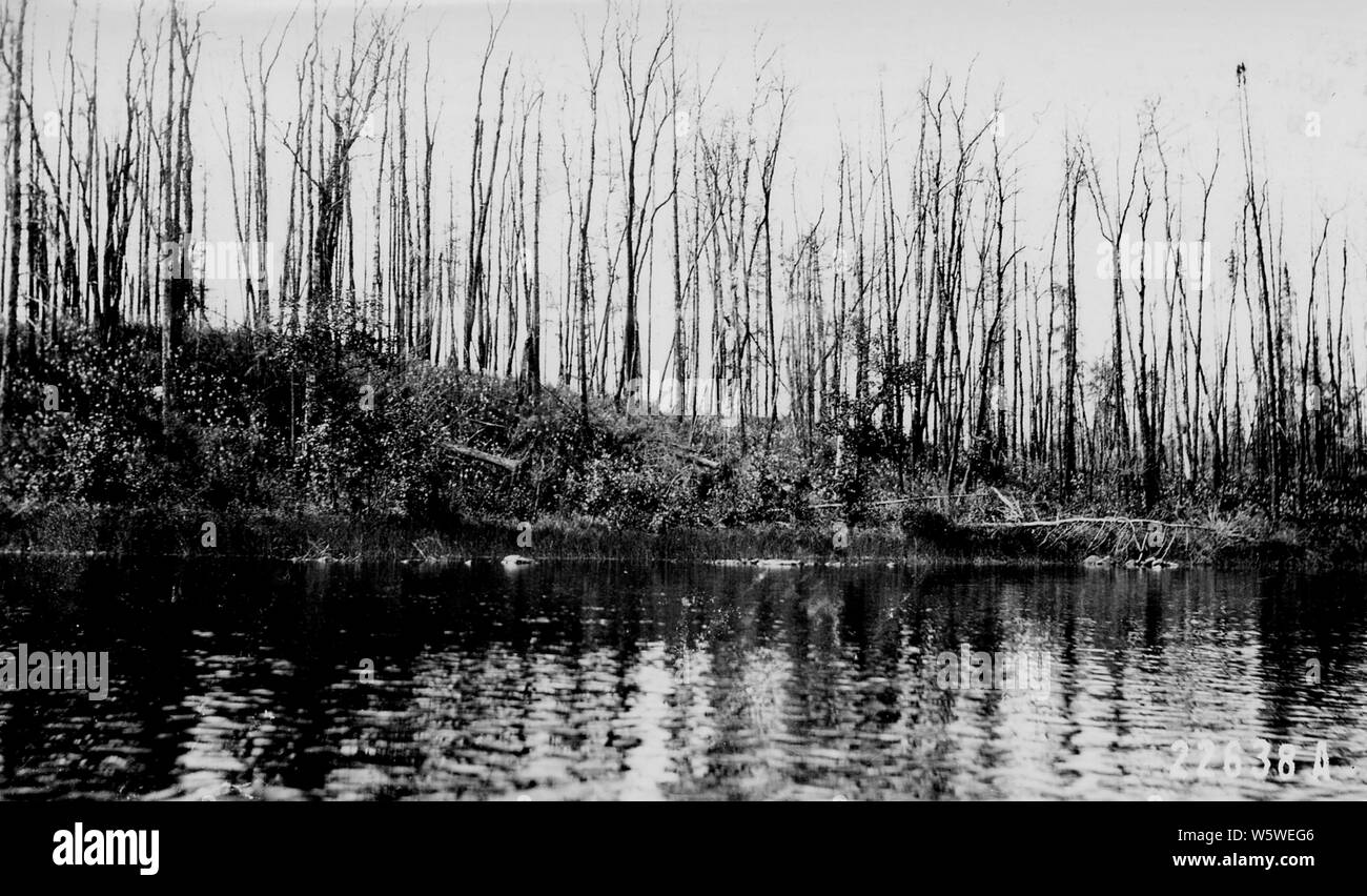 Superior forest Black and White Stock Photos & Images - Alamy