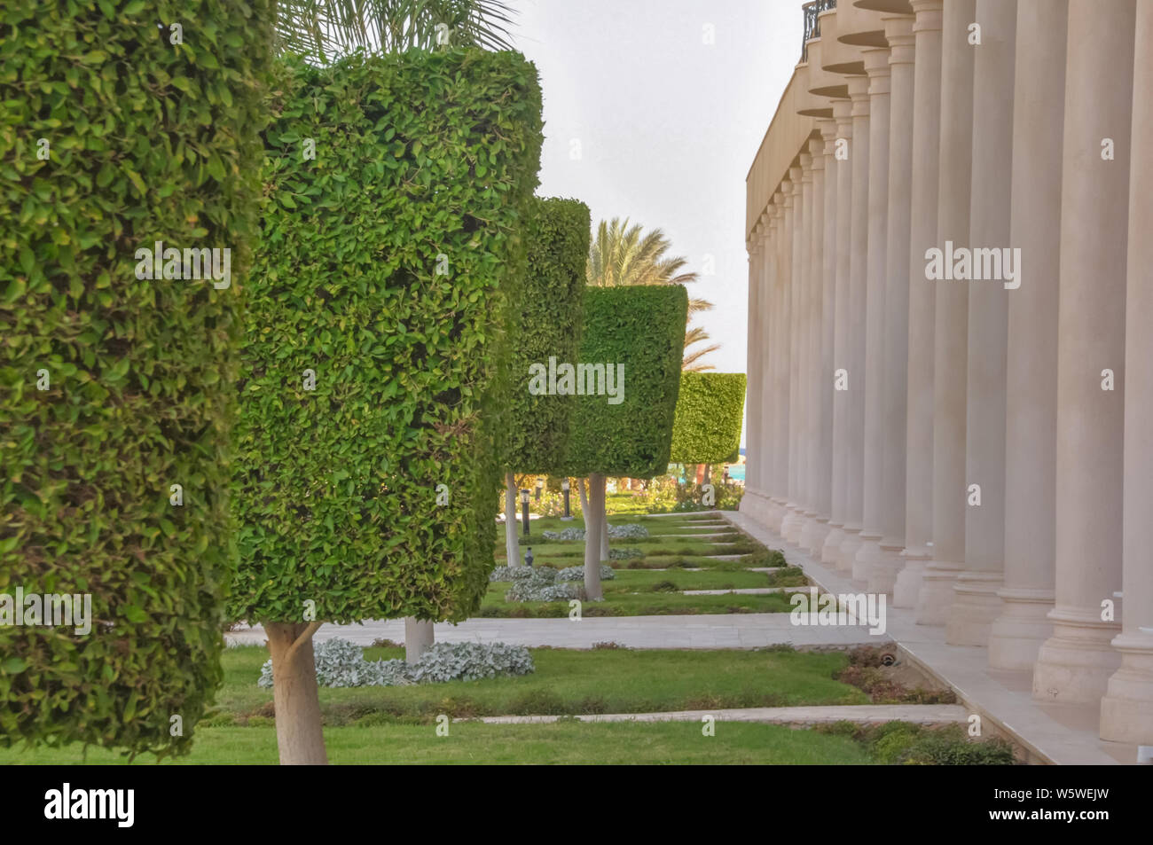 Geometric photo. Columns of a building near green square-shaped trees ...