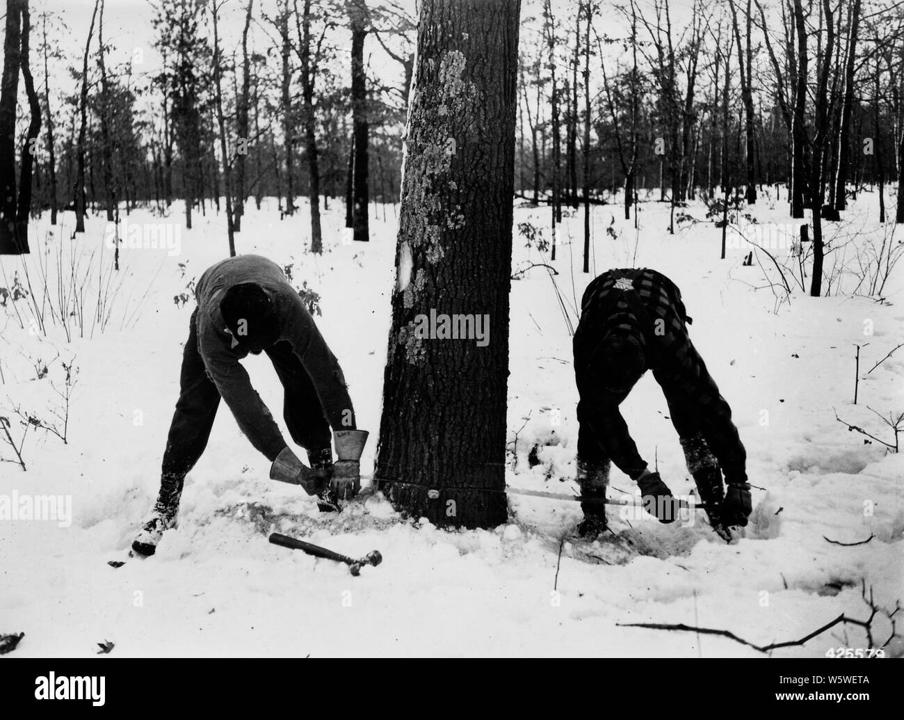 Photograph of Tie Cutting Operations; Scope and content: Original ...