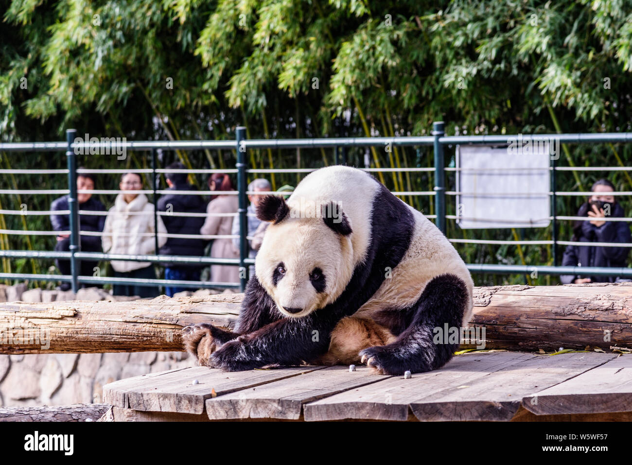 Wrong side bed hi-res stock photography and images - Alamy