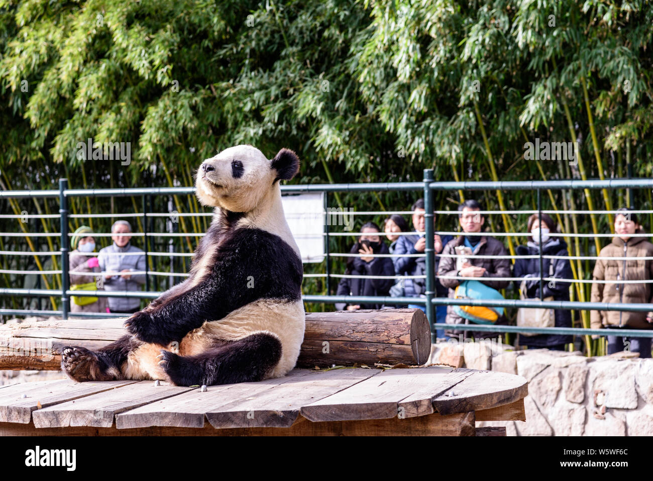 Wrong side bed hi-res stock photography and images - Alamy