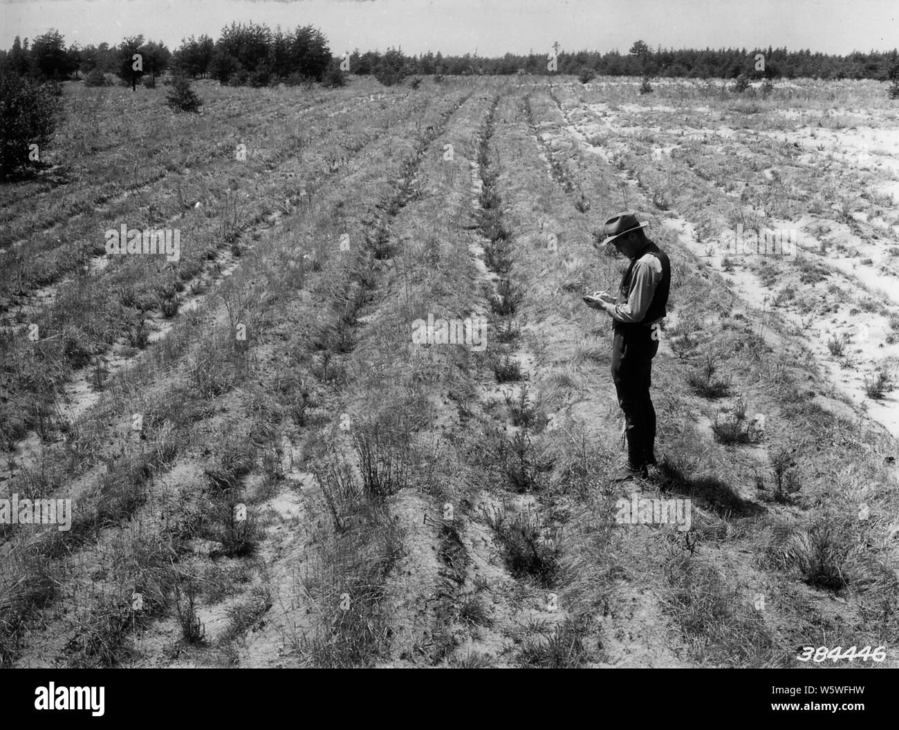 Photograph of View Down the Furrows; Scope and content: Original ...
