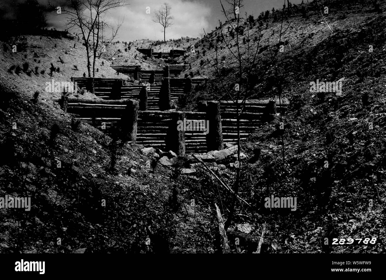 Photograph of View Looking up Gully on C. Mitchell Farm; Scope and ...