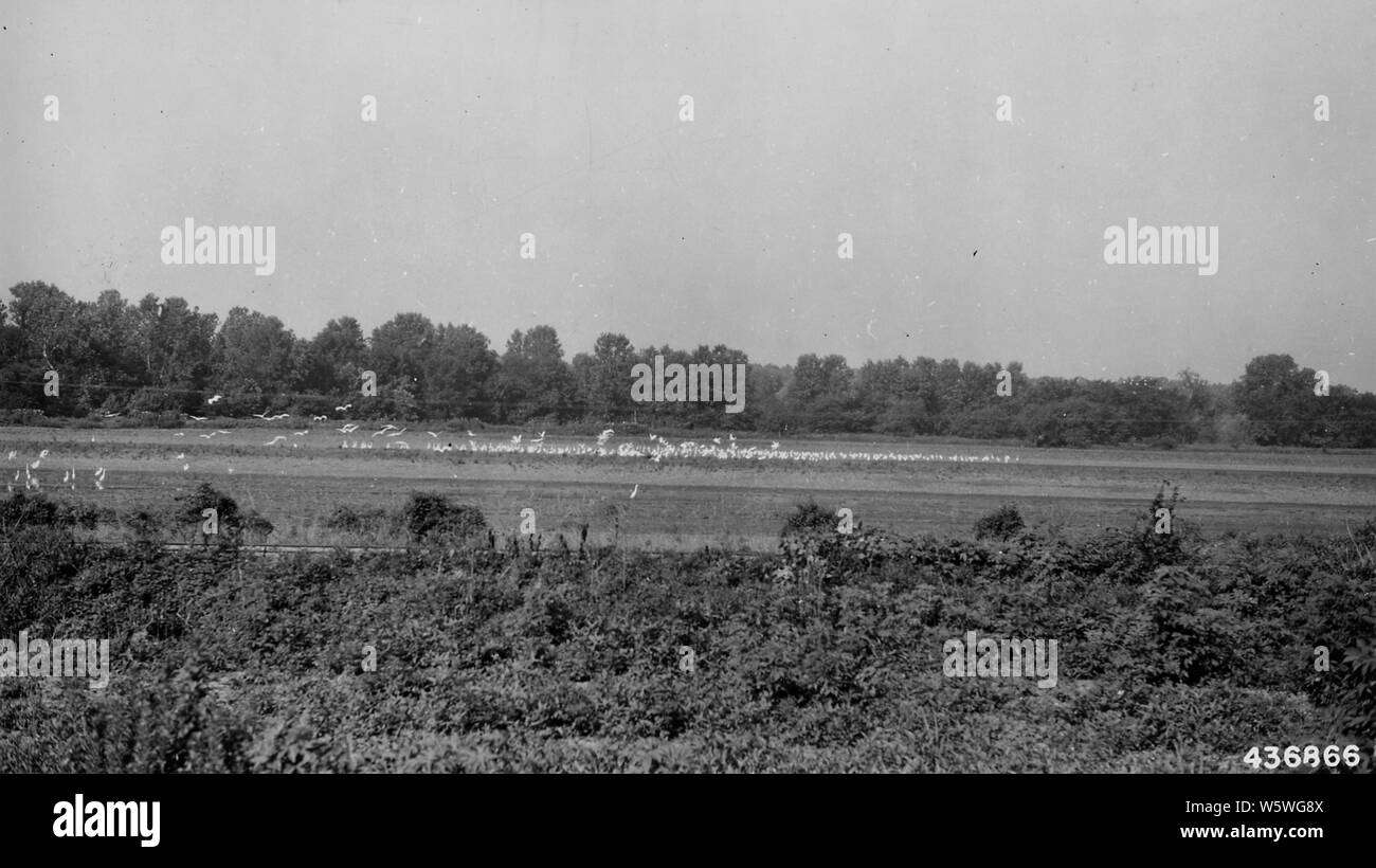 Grand tower illinois hi-res stock photography and images - Alamy