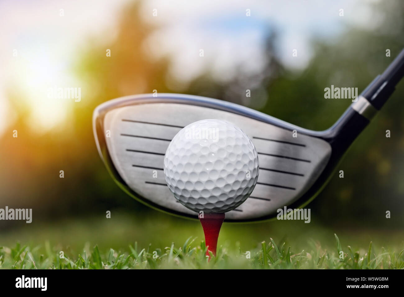 Golf club and ball in grass Stock Photo - Alamy