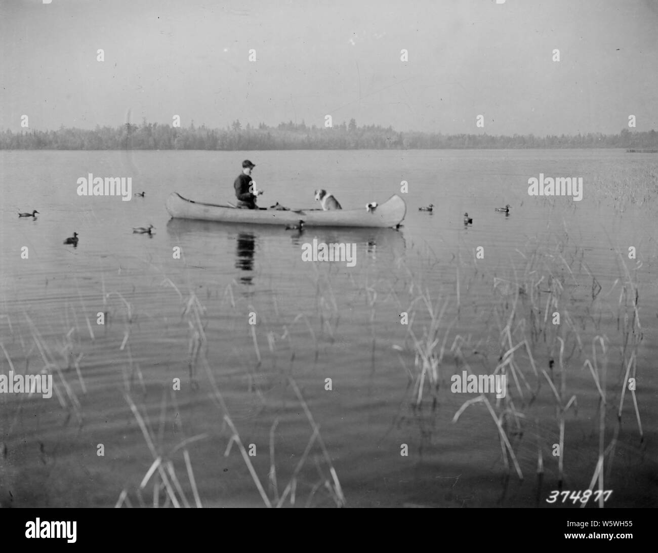 Photograph of a Duck Hunter; Scope and content: Original caption: Duck ...