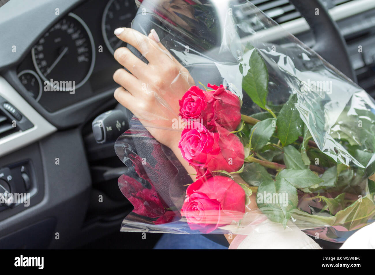In the car in the hands of a female lays a bouquet of pink roses on the ...