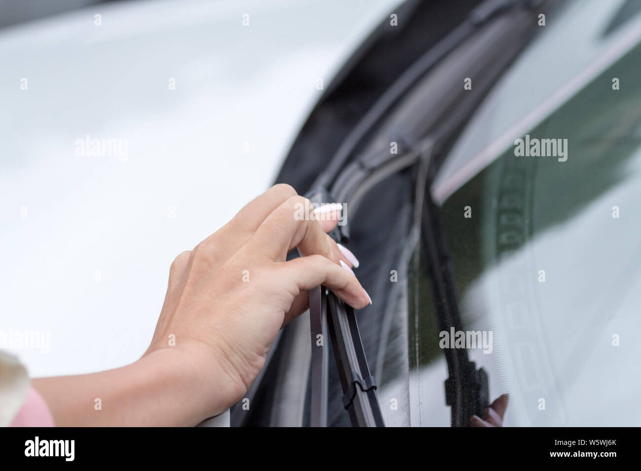 Girls hand regulates and inspects the wipers on the glass of the car ...
