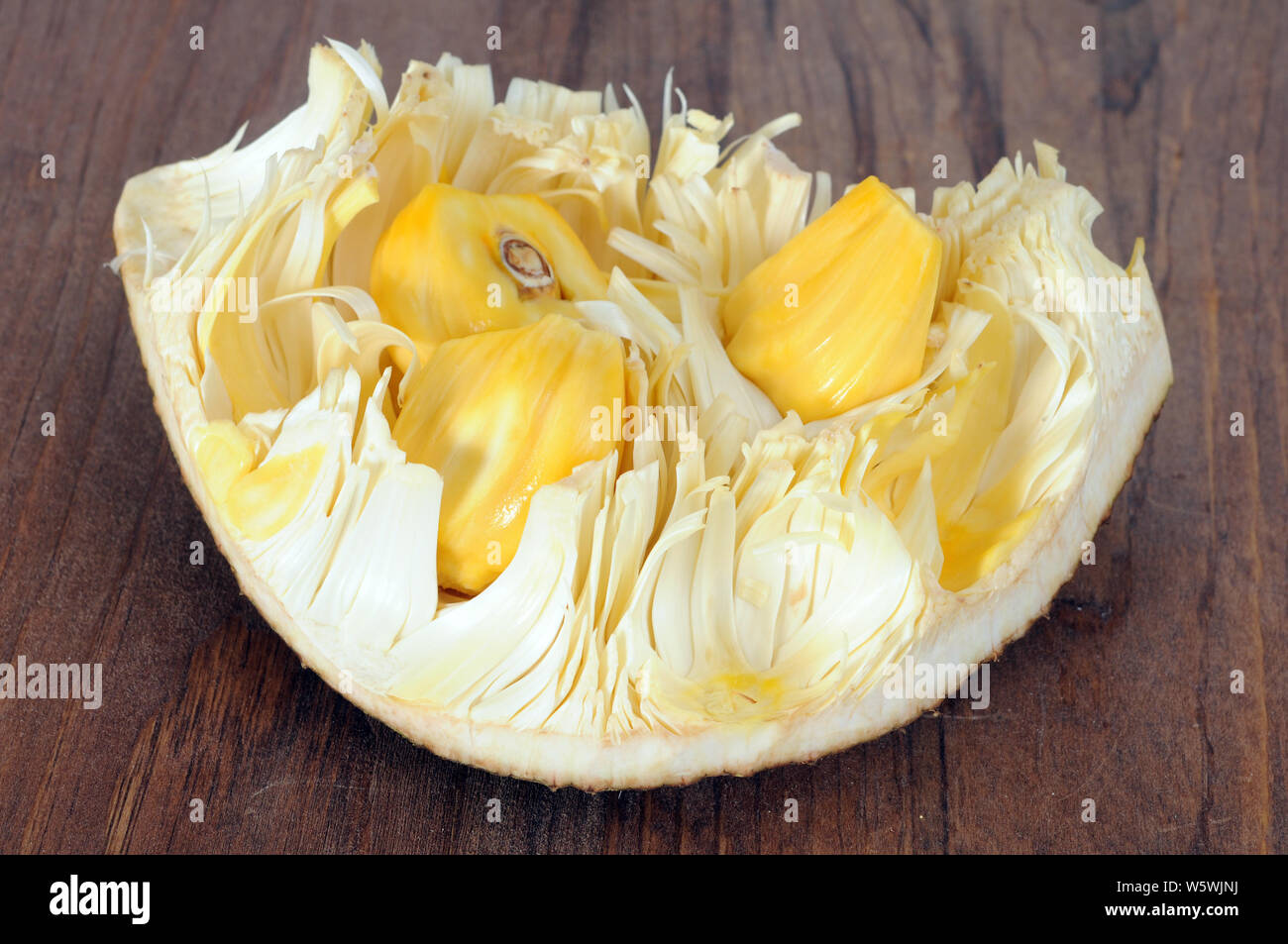 How to eat a jackfruit hi-res stock photography and images - Alamy