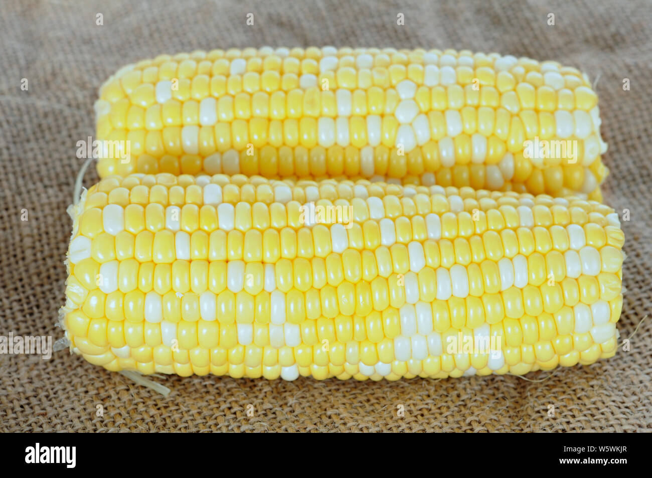 fresh sweet corn display at market place Stock Photo - Alamy