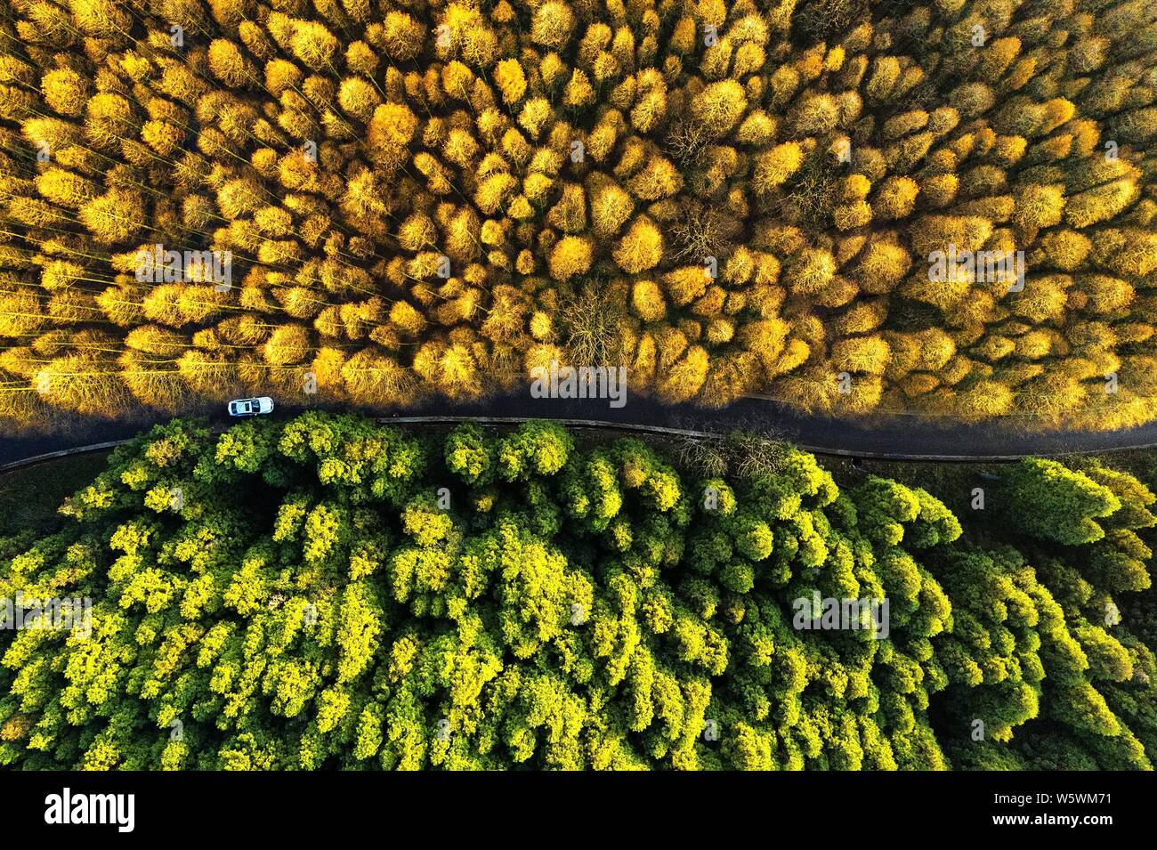 Landscape of the early winter scenery in the Shanwangping Karst ...