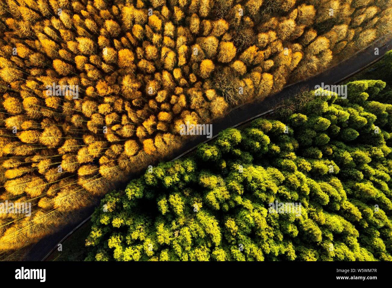 Landscape of the early winter scenery in the Shanwangping Karst ...