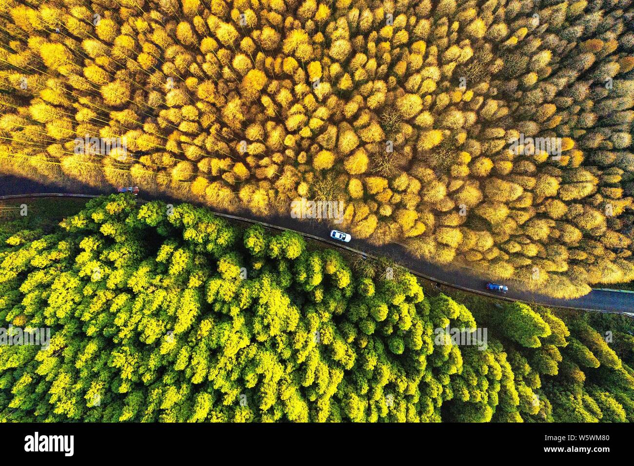 Landscape of the early winter scenery in the Shanwangping Karst ...