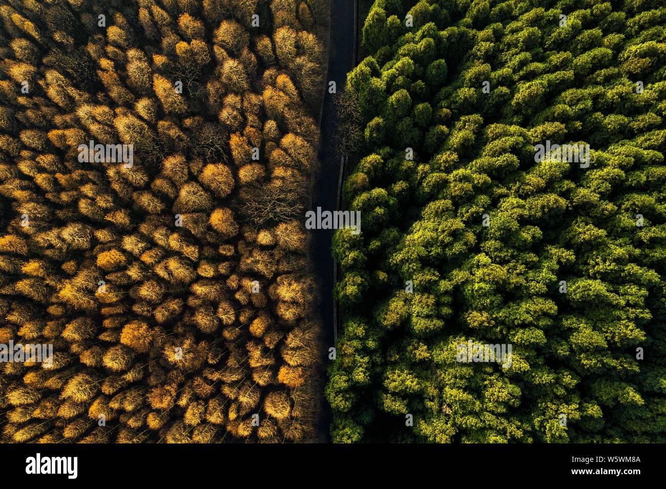 Landscape of the early winter scenery in the Shanwangping Karst ...