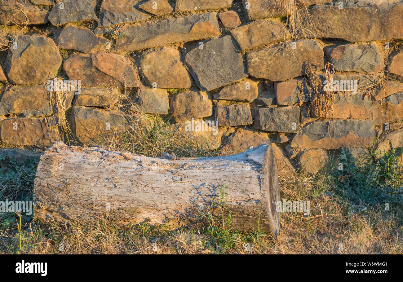 A dry sawn off log lies in the weeds next to a very old stone wall ...