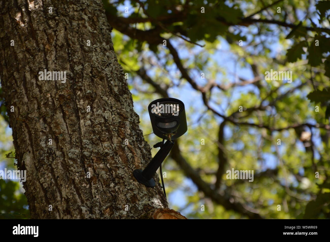 Surveillance surveillance hi-res stock photography and images - Alamy