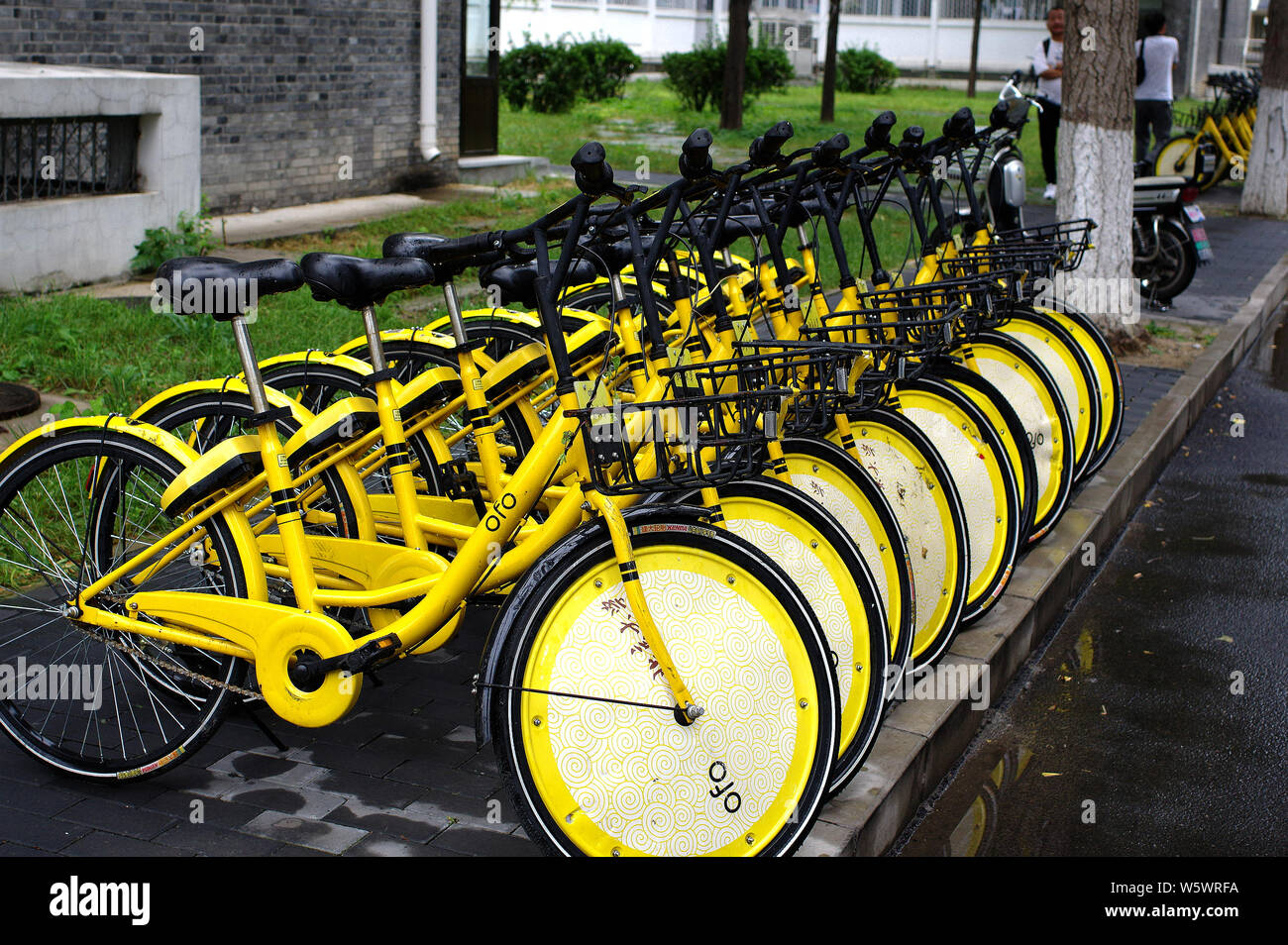 --FILE--Bicycles of Chinese bike-sharing service ofo are lined up at ...