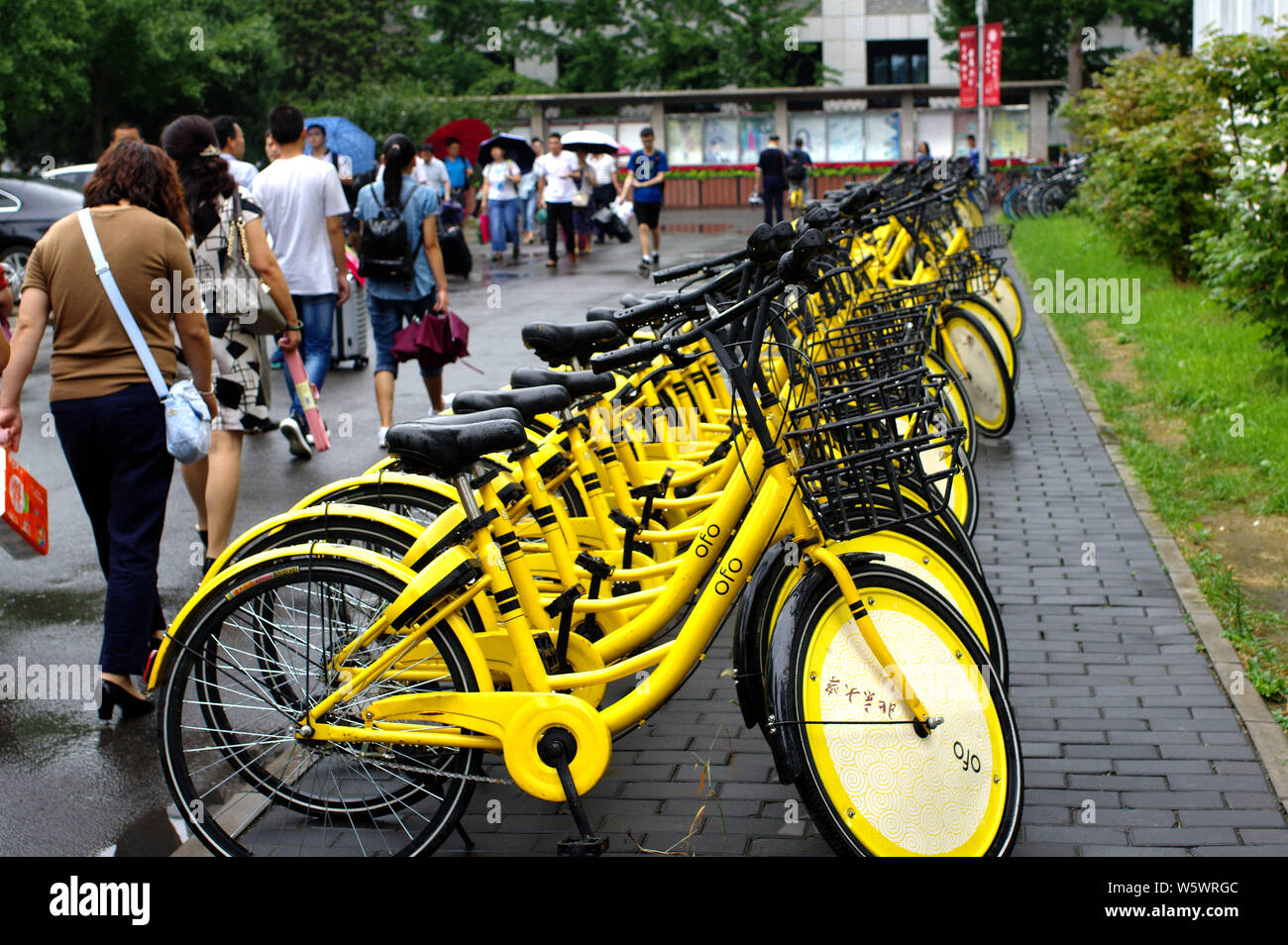 --FILE--Bicycles of Chinese bike-sharing service ofo are lined up at ...