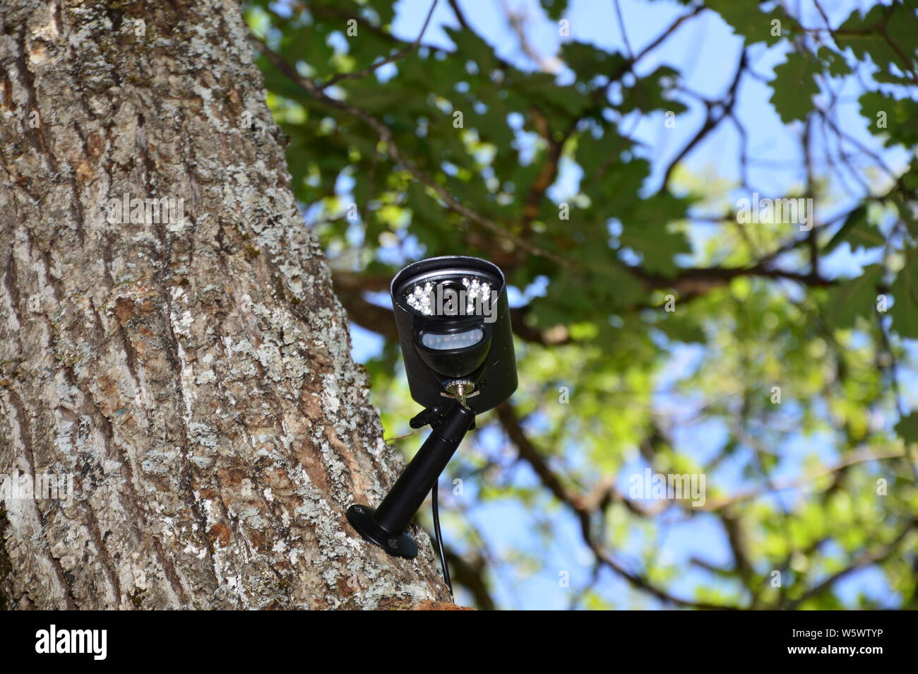Surveillance surveillance hi-res stock photography and images - Alamy