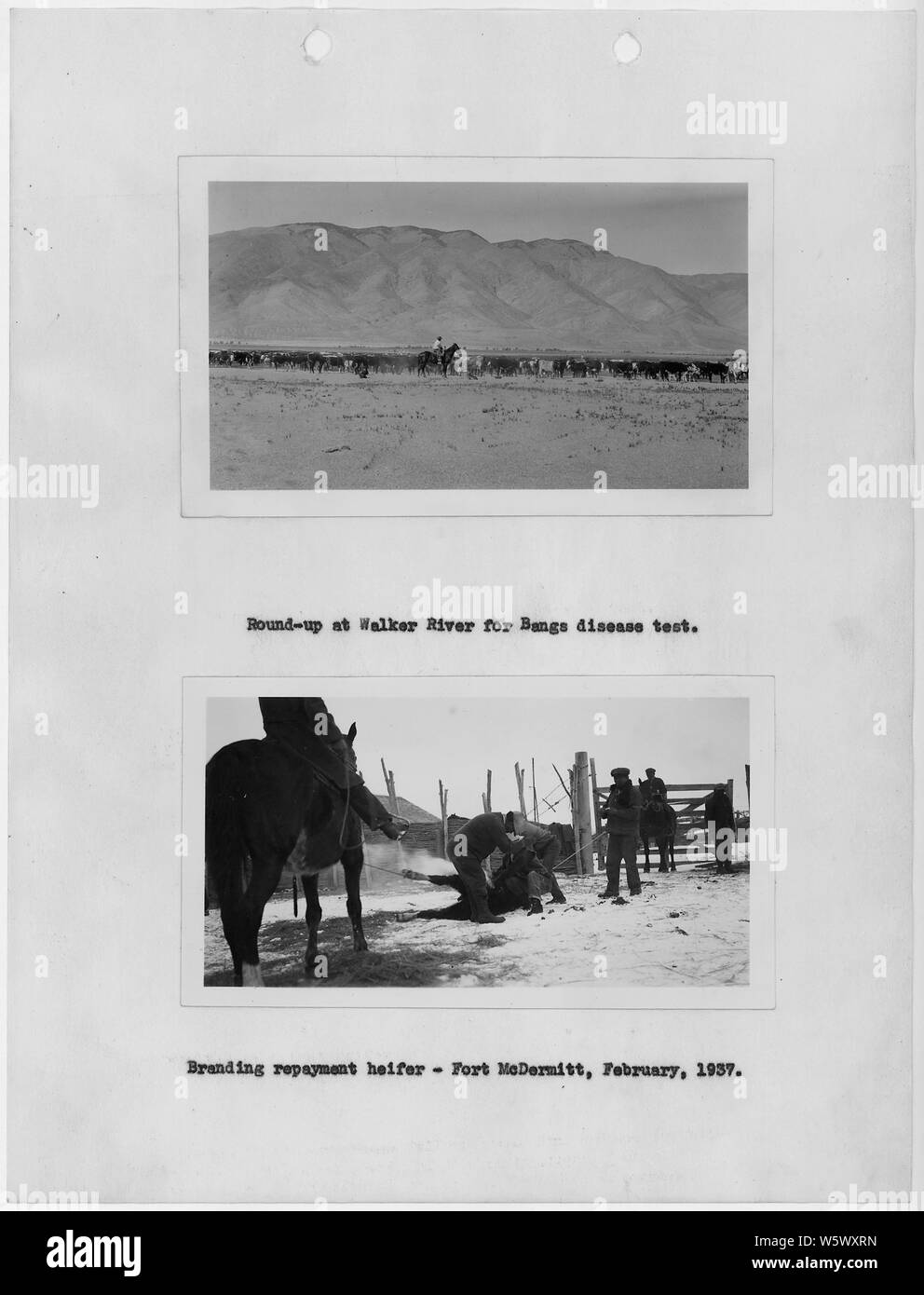 Fort walker Black and White Stock Photos & Images - Alamy