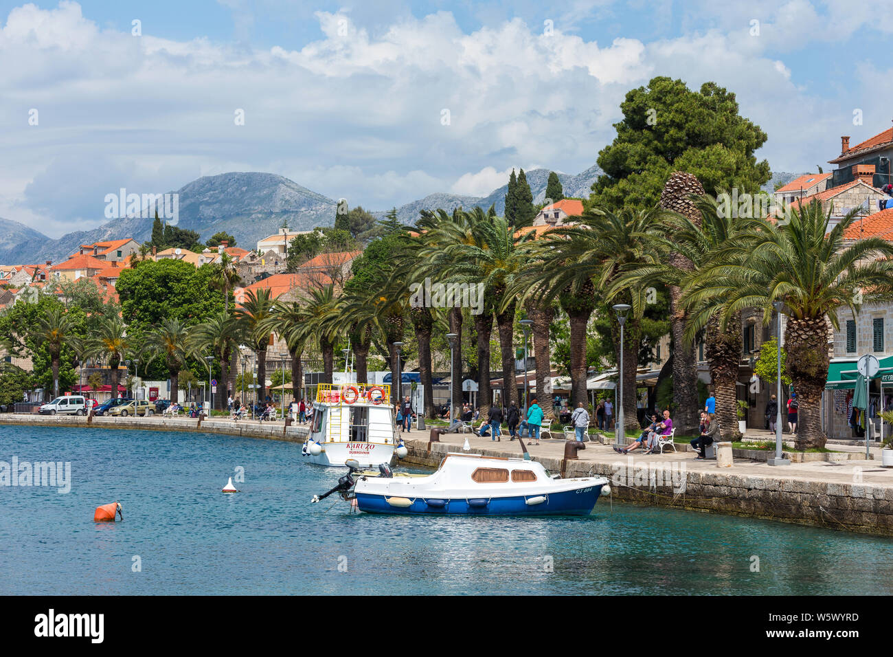 03 May 2019, Cavtat, Croatia.City marina and palms Stock Photo - Alamy