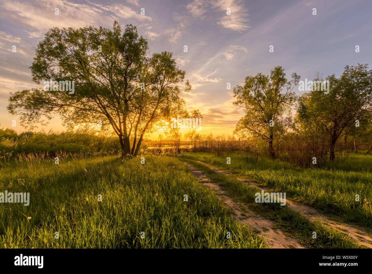 Spring Sunrise Backgrounds