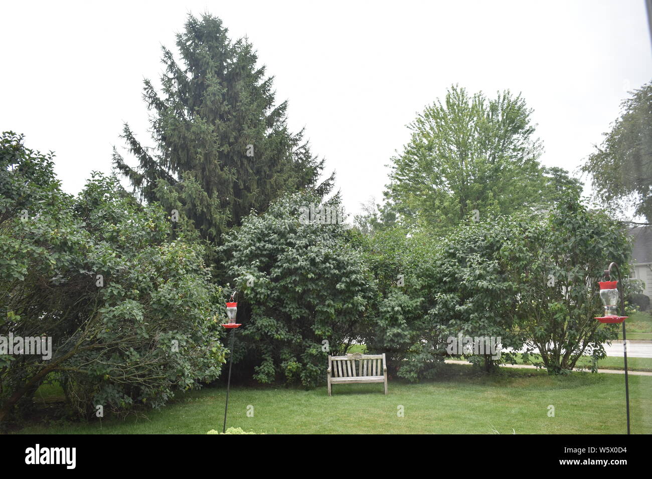 Backyard trees hi-res stock photography and images - Alamy