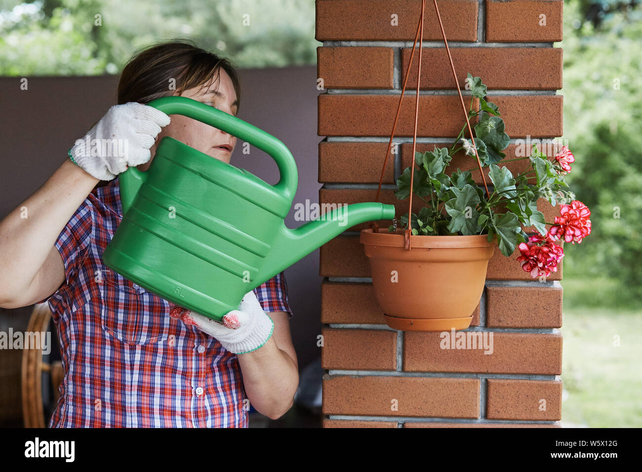 Woman watering flowers growing in flower pot, pouring water from ...