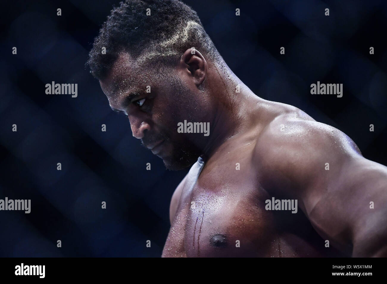 Francis Ngannou of Cameroon and France (blue gloves) reacts against ...