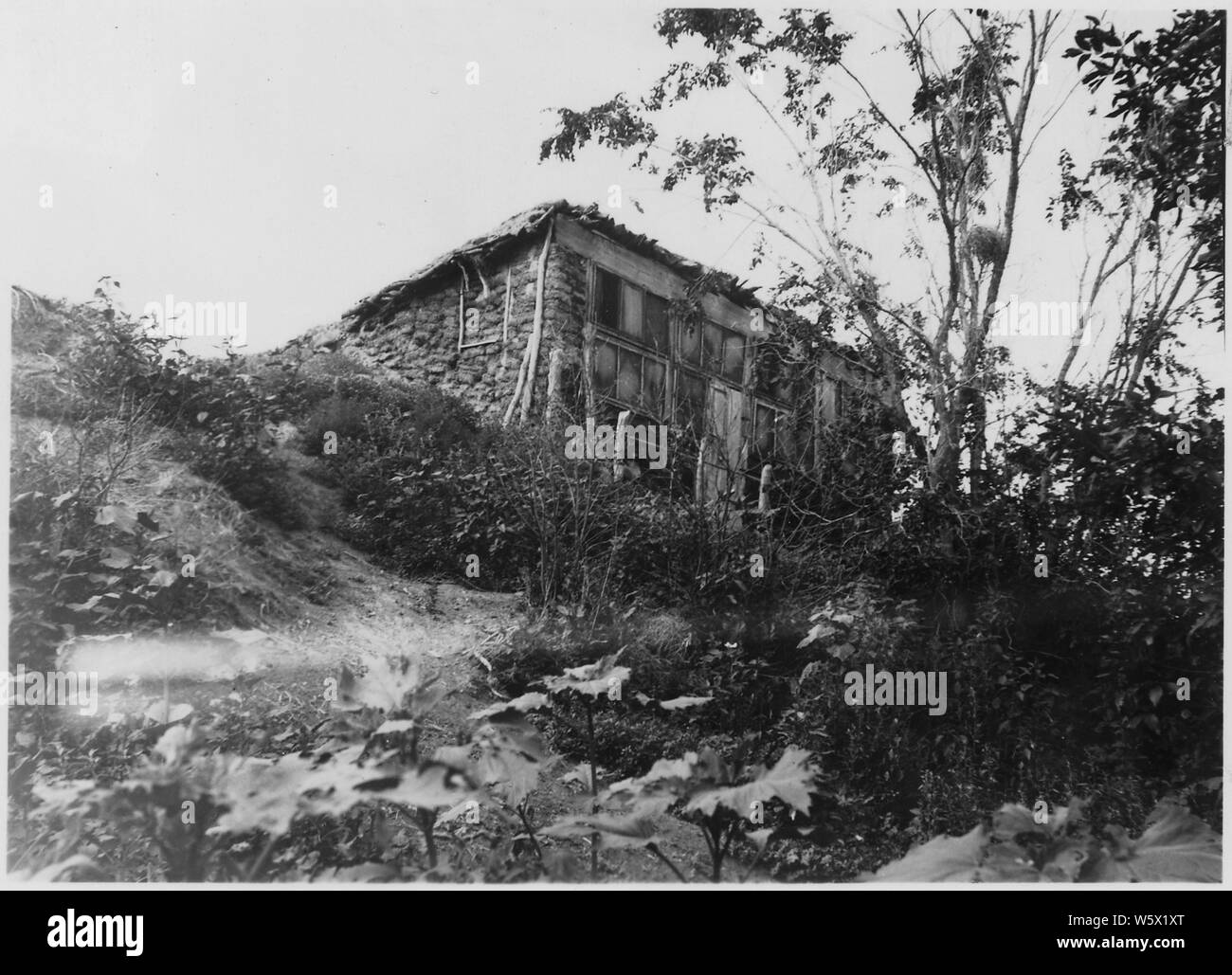 Poultry house Black and White Stock Photos & Images - Alamy