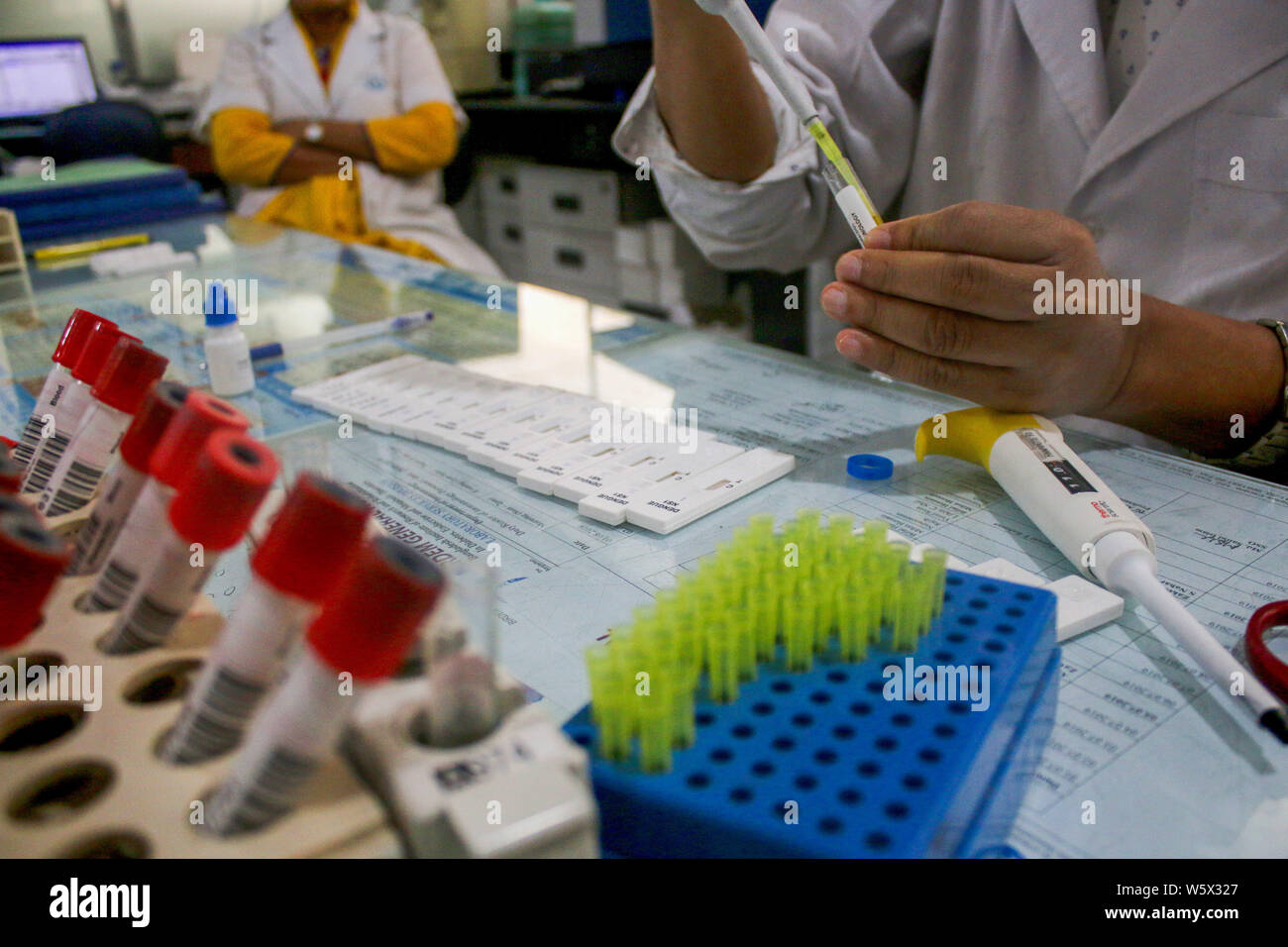 A lab technician tests the presence of dengue virus in blood sample at ...