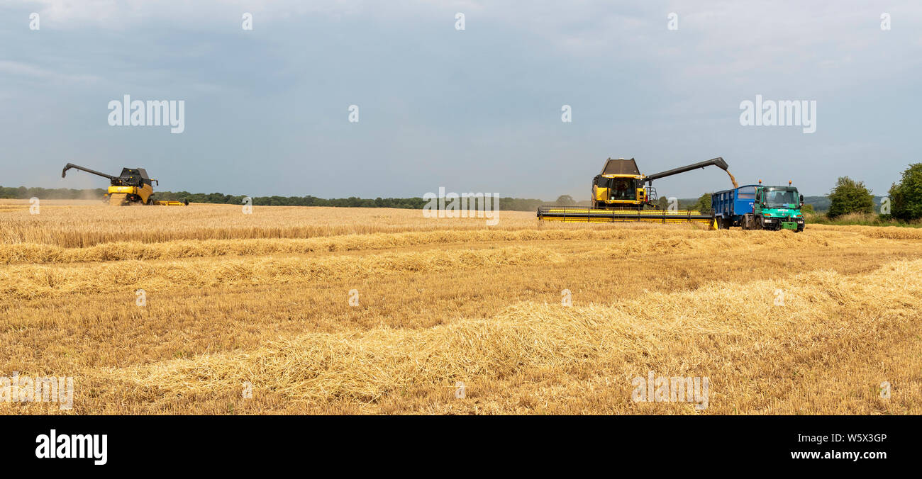 Cheltenham, Gloucestershire, England, UK. Two combine harvesters ...