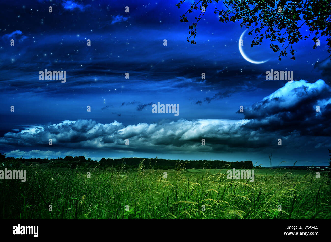 Night landscape with green fields on hills and moon, stars in sky over ...