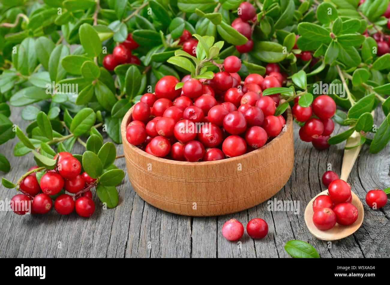 Cranberries in wooden spoon hi-res stock photography and images - Alamy